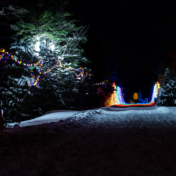 DCBS | Lighted Walk